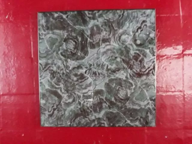KERAMIČKE PLOČICE 10 KOMADA U KUTIJI 31 X 31 NOV LEXAN 90 X 200 BELI NEPROVIDAN