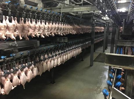 Linco - Verified seller