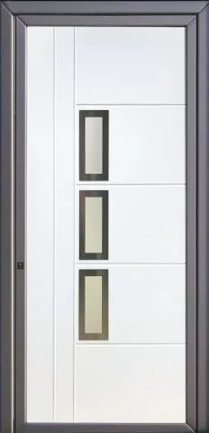 PVC ULAZNA VRATA SA INOX APLIKACIJAMA - MODEL 2