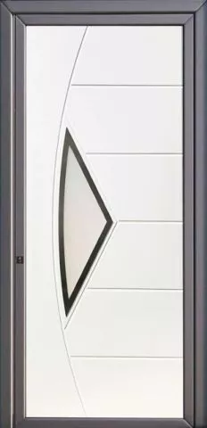PVC ULAZNA VRATA SA INOX APLIKACIJAMA - MODEL 3