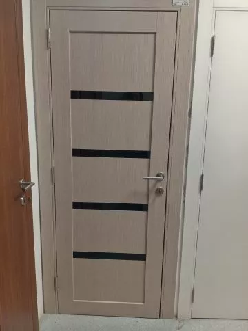SOBNA VRATA PREMIJUM SVETLA BOJA DRVETA SA CRNIM STAKLIMA