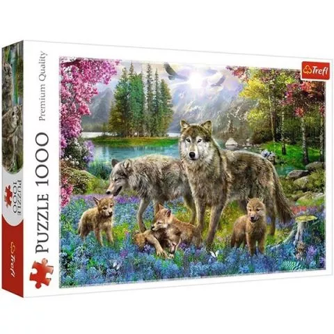 Puzzle 1000 delova 40560-18