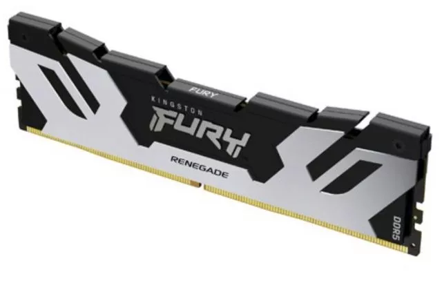 KINGSTON 48GB (1X48GB) DDR5 6400MT/S CL32 FURY RENEGADE SILVER/BLACK XMP DIMM MEMORIJA | KF564C32RS-