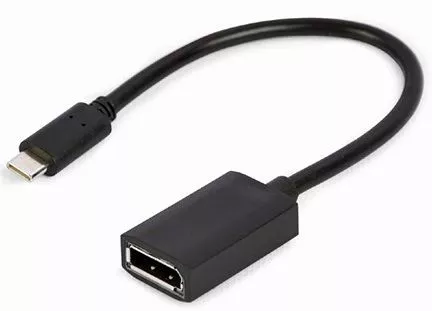 Gembird USB Type-C muški na DisplayPort ženski adapter kabl 15 cm