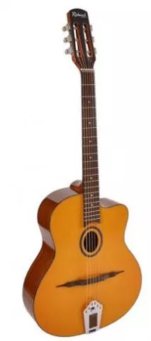 Richwood RM-70-NT akustična gitara