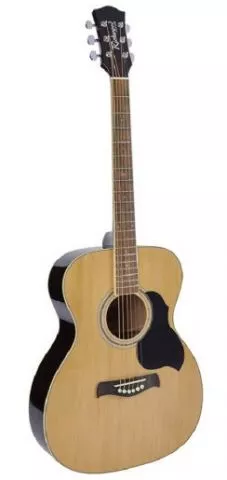 Richwood RA-12 akustična gitara