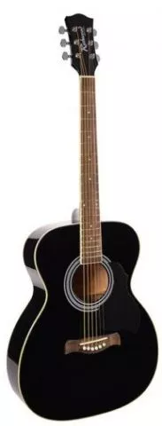 RICHWOOD RA-12-BK AKUSTIČNA GITARA
