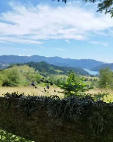 PLAC ZAOVINE (TARA)