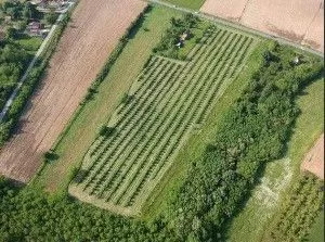Imanje sa plantazom lesnika-sabac