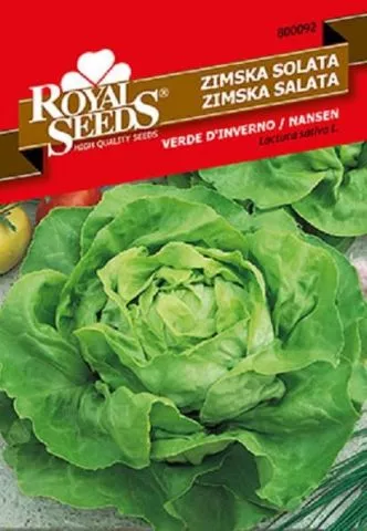 SALATA NANSEN - SEME