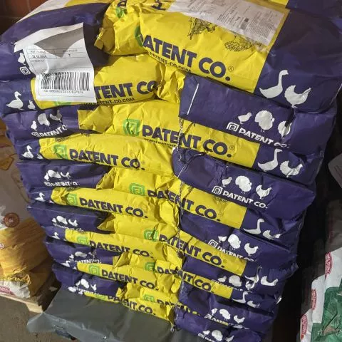 GOLDEN EGG 1 PATENTCO