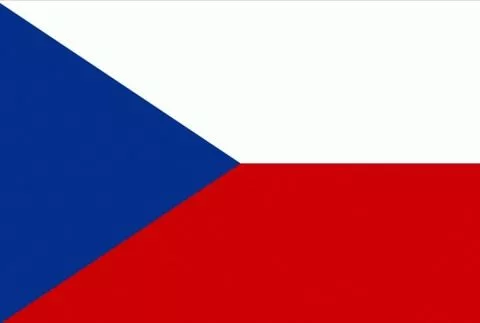 SUDSKI TUMAČ I PREVODILAC - ČEŠKI JEZIK
