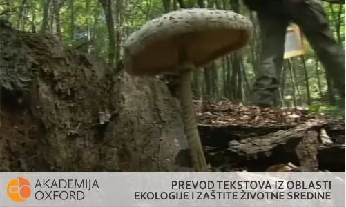 Prevod tekstova iz oblasti ekologije i zaštite životne sredine - engleski jezik