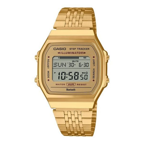 CASIO sat ABL-100WEG-9A
