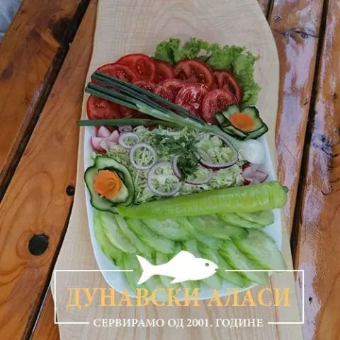 BAŠTA SALATA