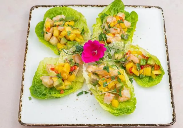 GAMBOR TARTAR