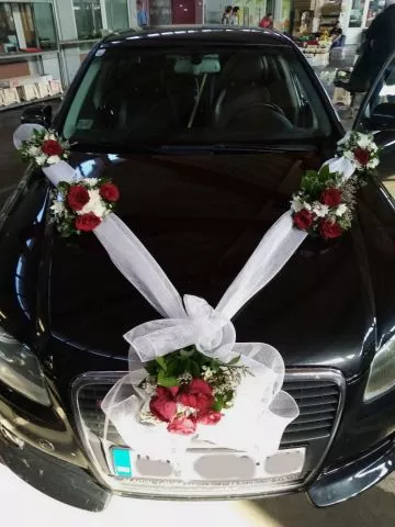KIĆENJE AUTOMOBILA 590