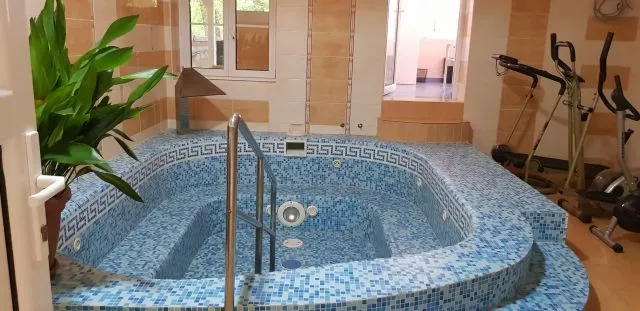 WELLNESS CENTAR U OKVIRU DOMA VILLA ANCORA - PALIĆ