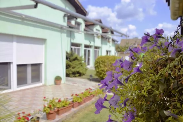 ZDRAVSTVENA ZAŠTITA I NEGA 24 H – DOM MASS GREEN HOUSE