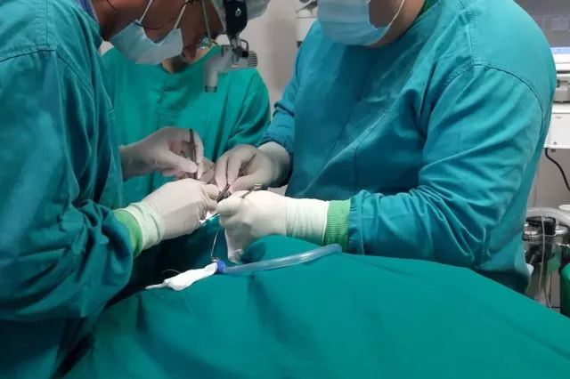 RINOPLASTIKA - PLASTIČNA OPERACIJA NOSA OTVORENA