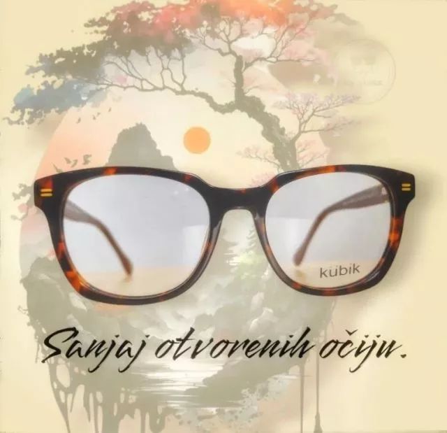 SERVIS RAMOVA - MR BLINK
