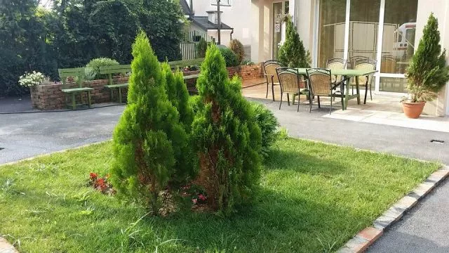 REHABILITACIJA U DOMU SVETI TRIFUN