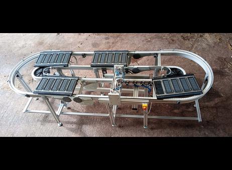 Custom Flexlink XT Twin Track Pallet Conveyor Carousel