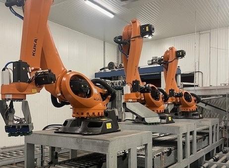 Alsmatic robot mašina za pakovanje Najprodavaniji