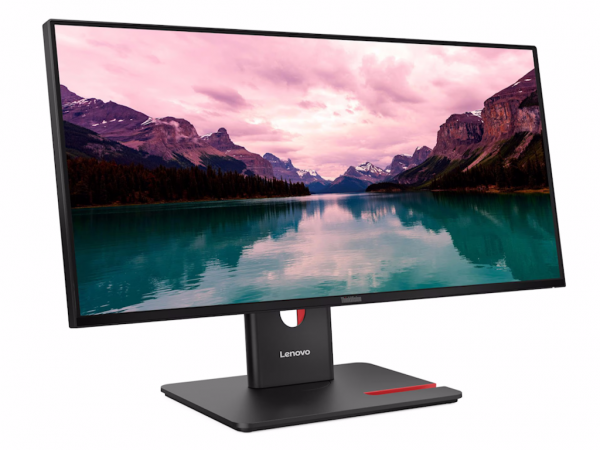 Monitor LENOVO ThinkVision T24-40 23.8''IPS1920x1080120Hz4msHDMI,DP,VGA4xUSB, xUSB-Ctilt,swive' ( '64A4MATXEU' )