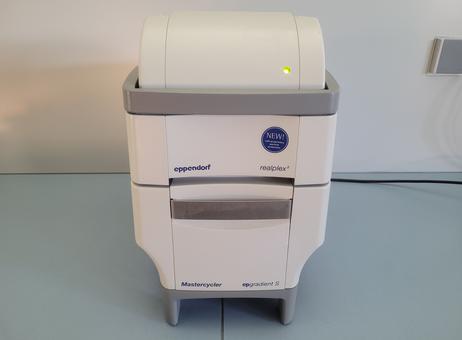 Eppendorf Mastercicler Ep Gradient s Realplek 2 termalni ciklus Najprodavaniji