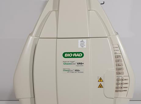 Visokoefikasan sistem za dokumentovanje i snimanje gela BIO-RAD ChemiDoc XRS+ Verified seller