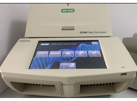 PCR u realnom vremenu + Thermal Cicler C1000 Touch, Bio-Rad