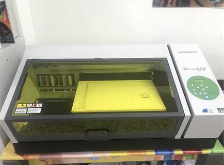 kater velikog formata Roland LEF 20