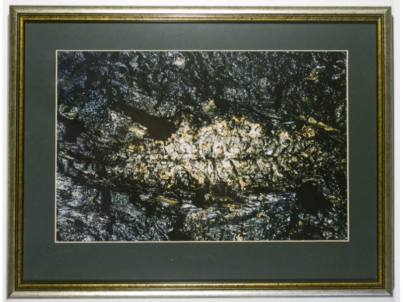 Homo erectus LMW - M. Floršic