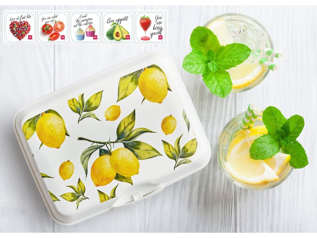 Lunch box TREND MID EK000757109