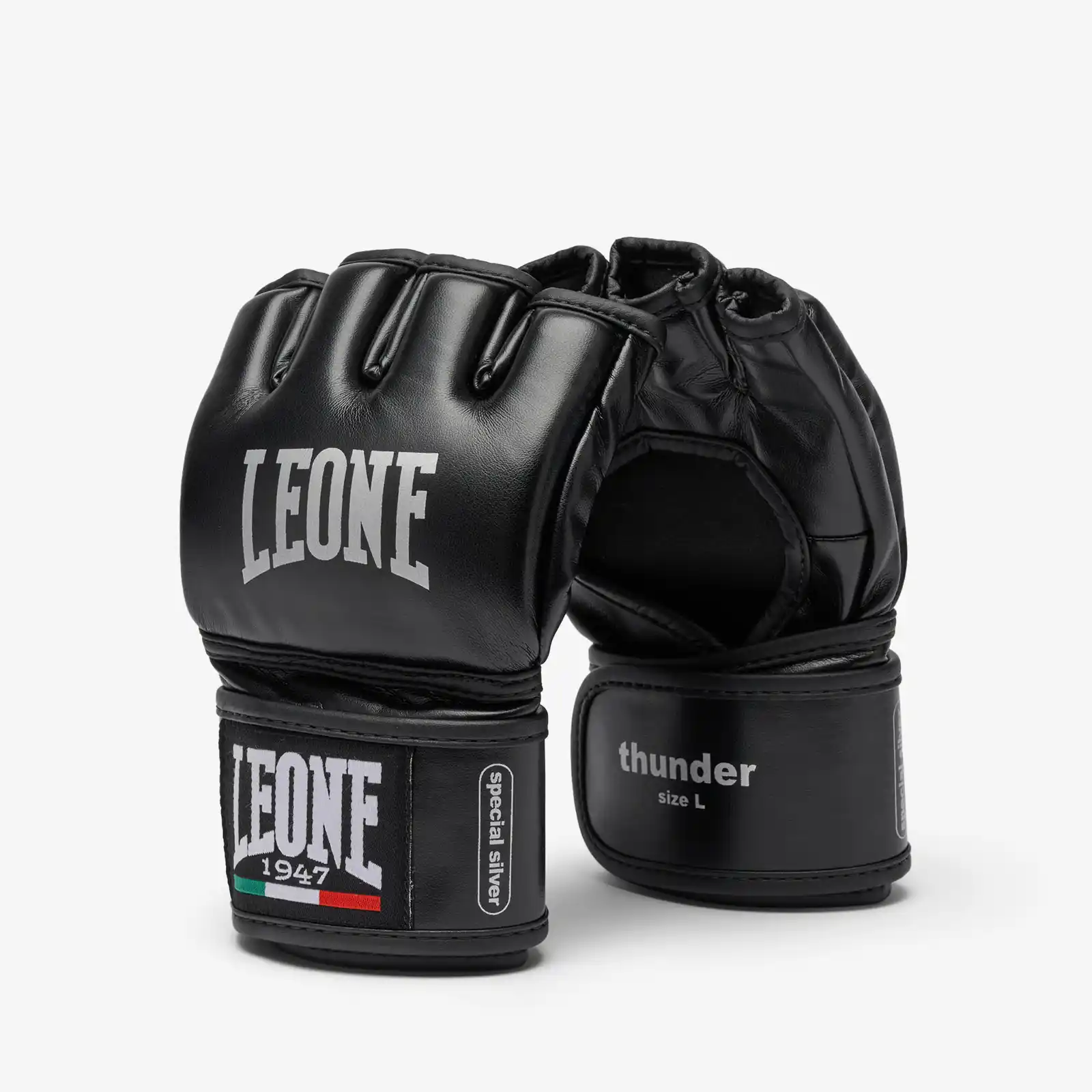 THUNDER MMA
