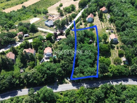 Plac od 10.4 ara, Trešnja