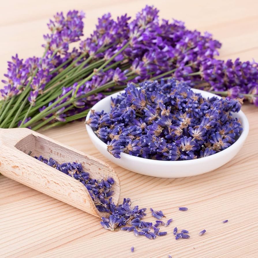 Lavandula angustifolia – Lavanda paket 10kom