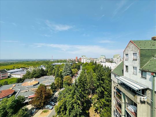 Najlepši deo Labudovog brda