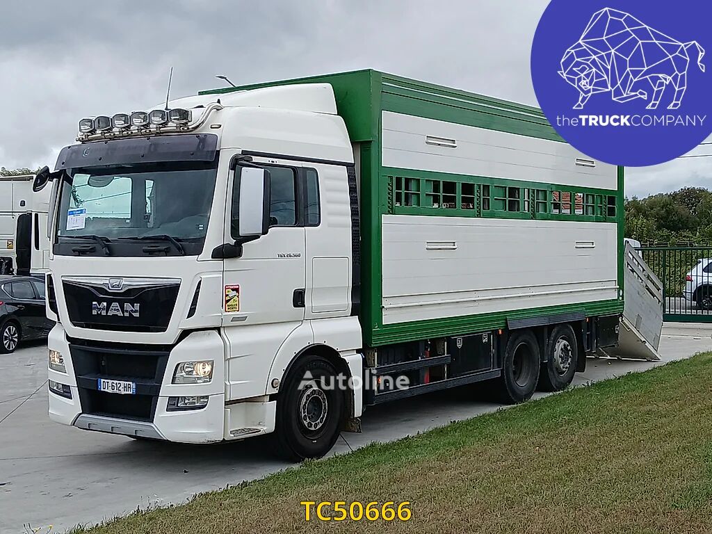MAN TGX 460 kamion za prevoz stoke