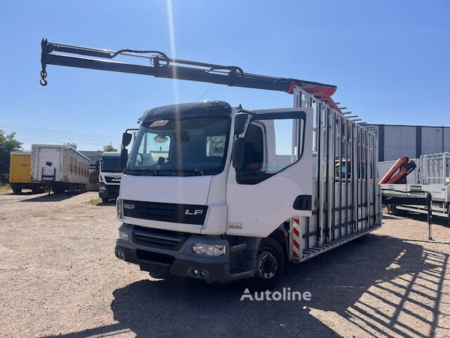 DAF LF 250 * PALFINGER * PK 11001 SLO3 . BJ 2020 vozilo za prevoz stakla