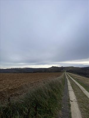 Poljoprivredno zemljište,2938 m2,Nova 2,Bukovac