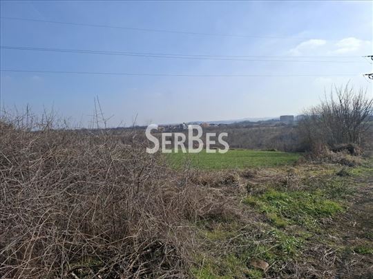Gradjevinski plac na Trandzamentu 3251m2 ID#1537
