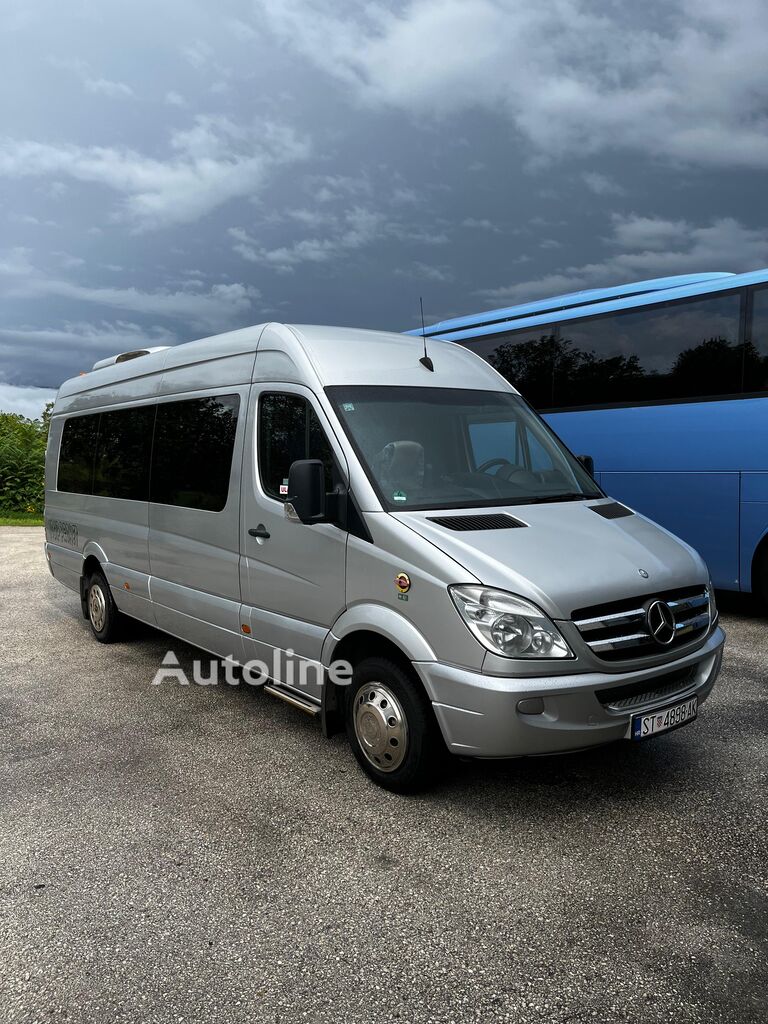 Mercedes-Benz Sprinter 519 putnički minibus