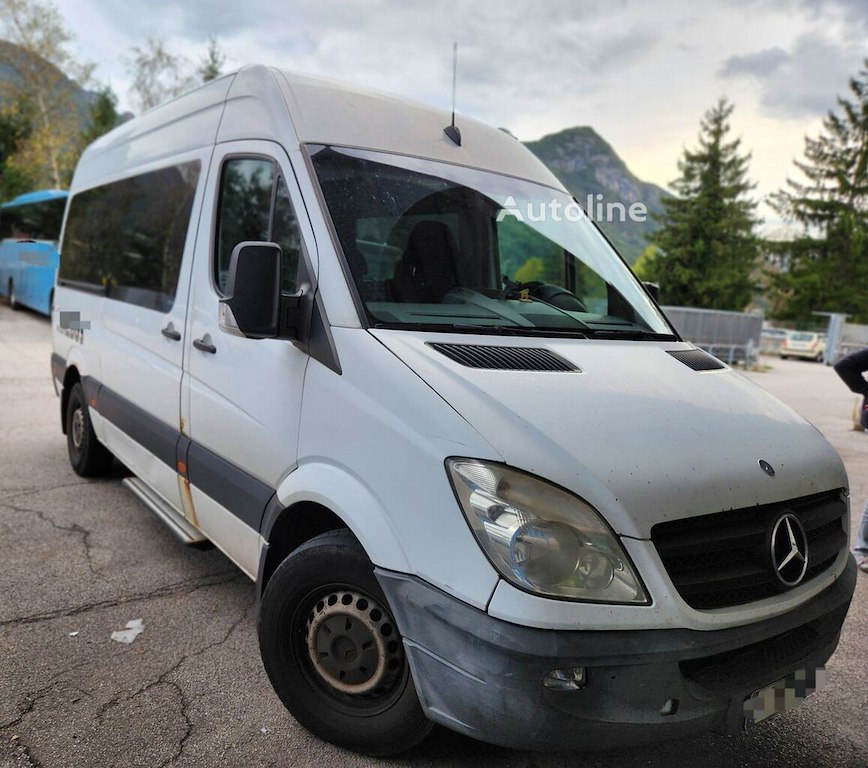 Mercedes-Benz Sprinter II Kombi / 315 CDI putnički minibus