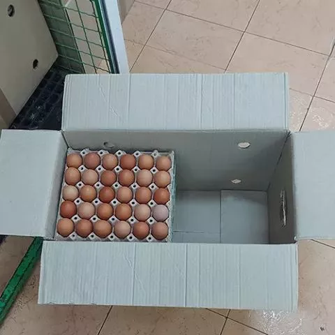 KUTIJE ZA JAJA