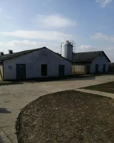 Farma 3000m2 na 1.5ha-Banatski Brestovac