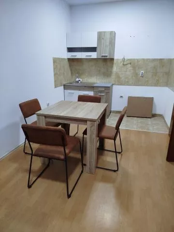 IZDAJEM NAMEŠTEN DVOIPOSOBAN STAN