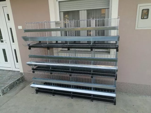 KAVEZI ZA KOKE, PILIĆE I ZEČEVE