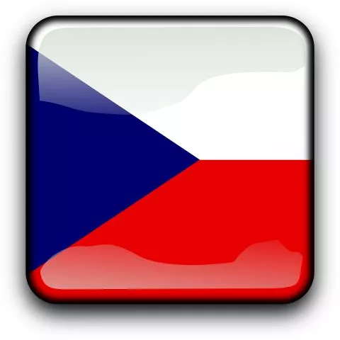 ČEŠKI JEZIK - SUDSKI TUMAČ I PREVODILAC
